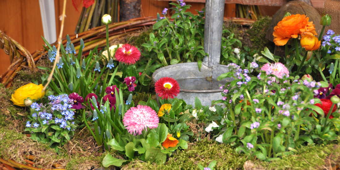 11 Charming Cottage-Style Container Gardens – Inside Grown